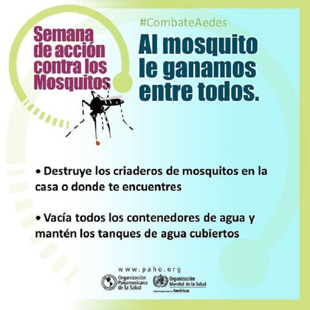 Lanzaron la Semana de Acción contra los Mosquitos - El Paraná Diario